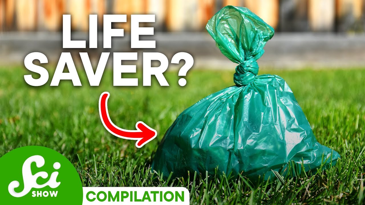 7 Ways That Poop Can Save Lives - YouTube