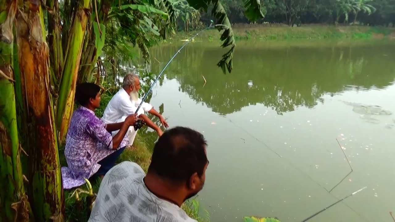 Village Rod Fishing Videos in Natural Pond - YouTube