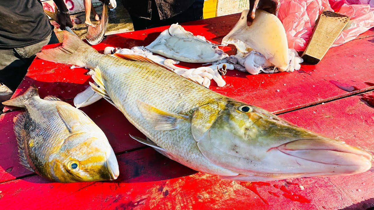 ULTIMATE LONG FACE SWEETLIP EMPEROR FISH FILLETING EXPERT WITHOUT BONES ...