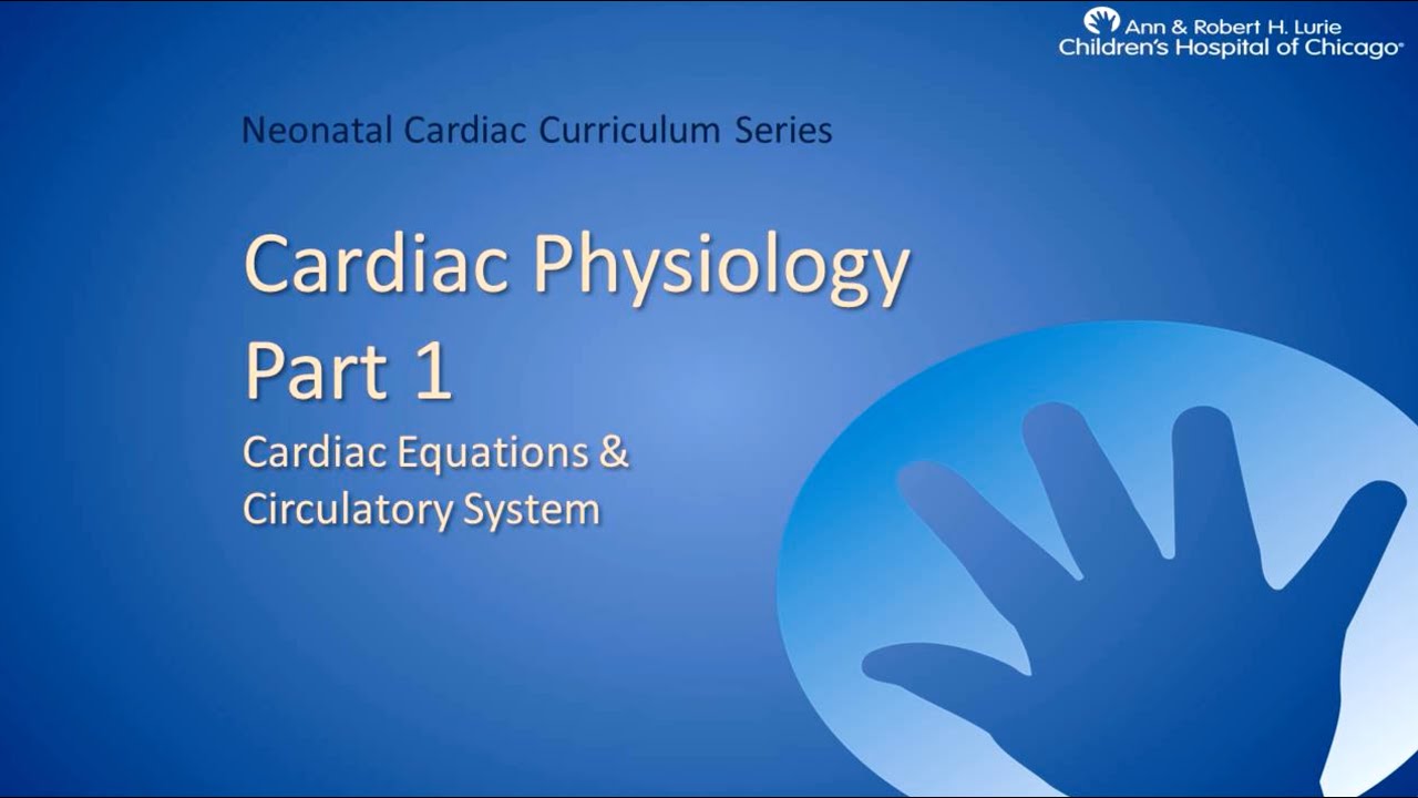 Cardiac Physiology Part 1 - Cardiac Equations & Circulatory System ...