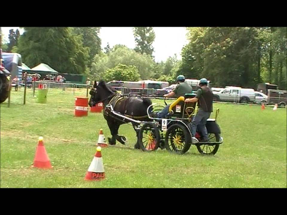 DKT - Luc Thijs - vaardigheid - Herne - 25/05/2015 - YouTube