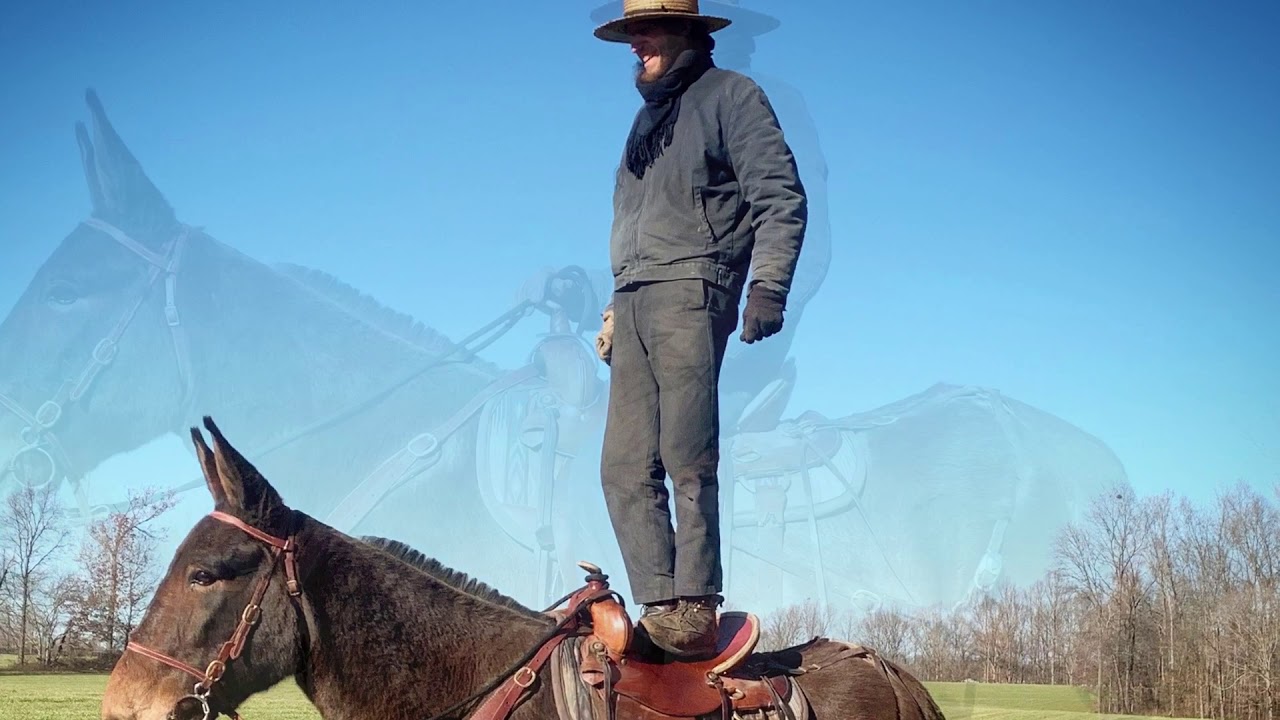 Oliver ..... A Must see Beginner Safe John Mule for sale CALL 606-303 ...