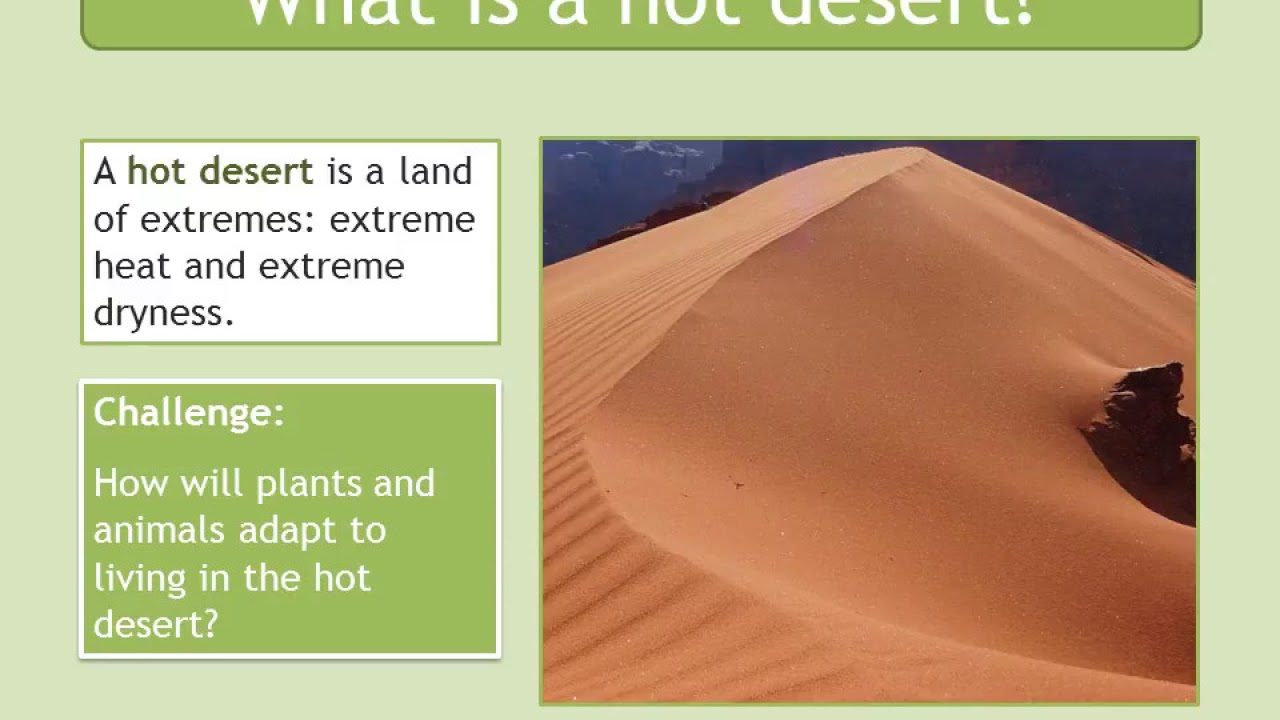 Hot Desert location, climate, adaptations - YouTube
