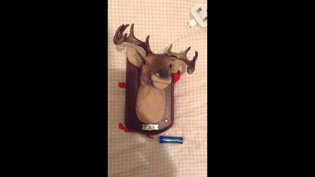 Help!! My 1st Mini Buck Is Broken!! - YouTube