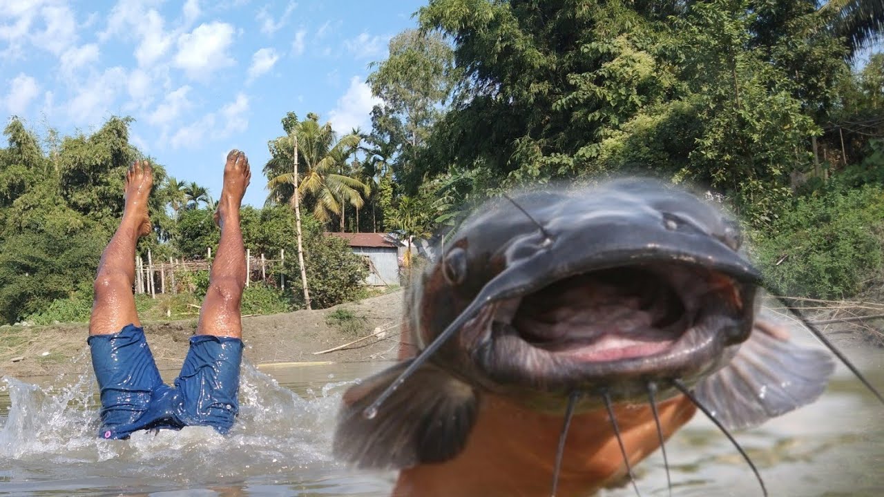 Best fishing video2022 |Traditional boy catching big fish hand fishing ...