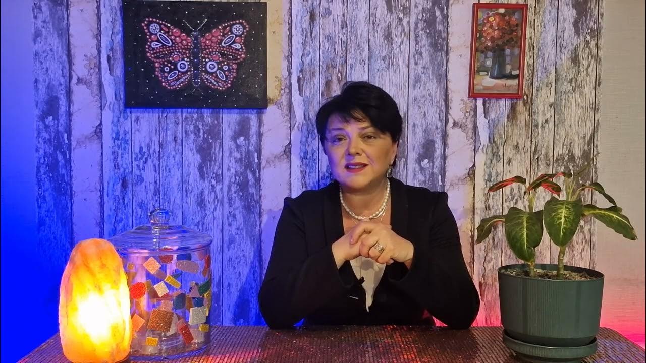 კატის კნუტი და ლომი 21 Youtube