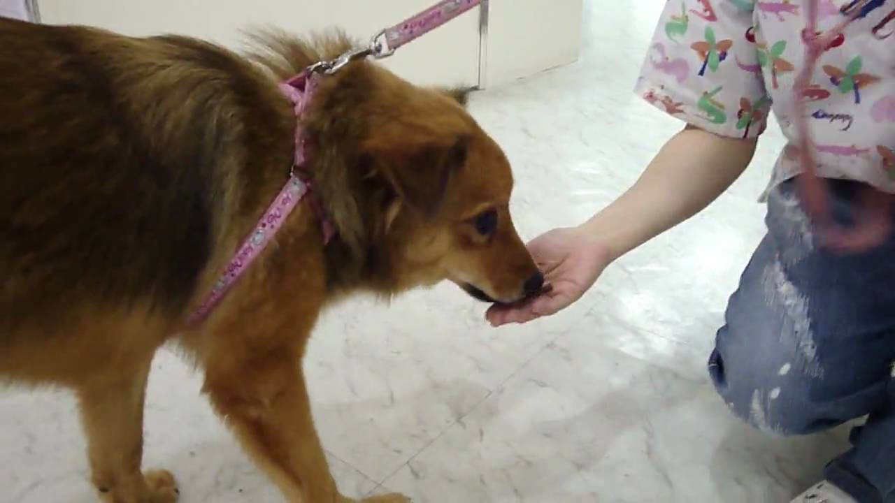 20100612_Lucas (2).MP4 - YouTube