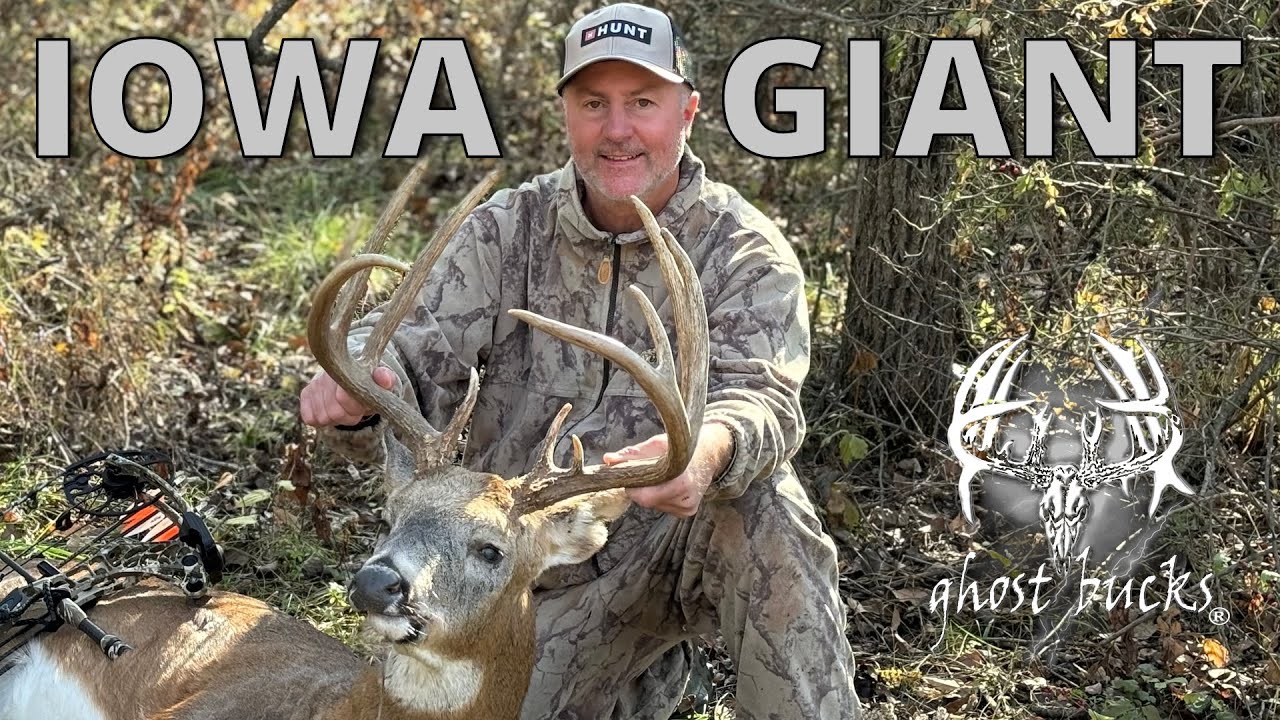 Giant Iowa Buck With A Bow | Pushing Into A Buck Bedding Area Pays Off ...