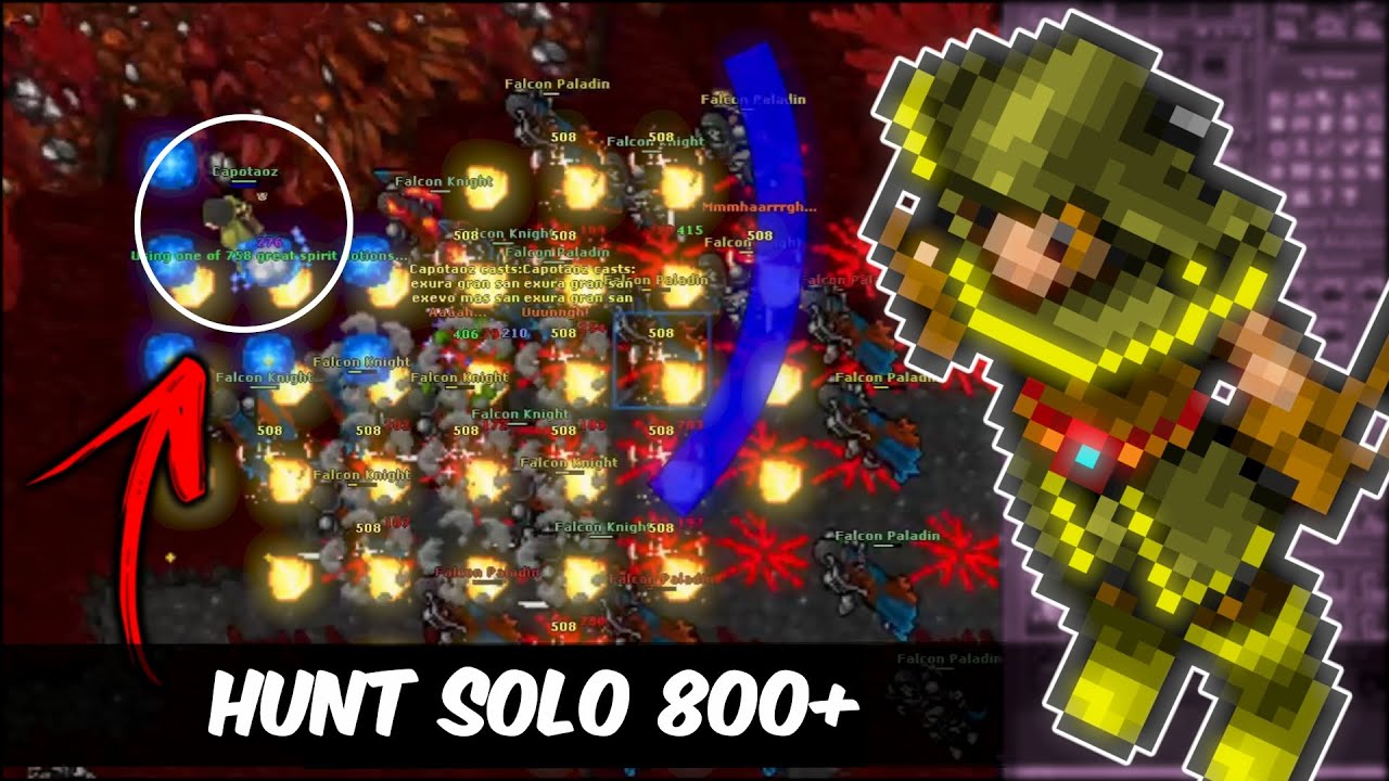 RP HUNT SOLO 800+ para Profit e EXP ao MESMO TEMPO (Falcons) - YouTube