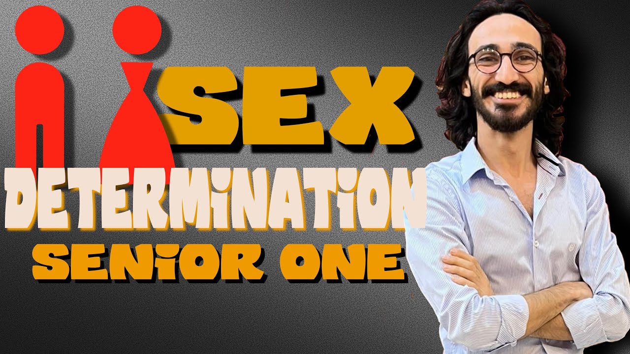 Sex Determination Biology 1 Sec 2nd Term دكتور مصطفي خضر Youtube