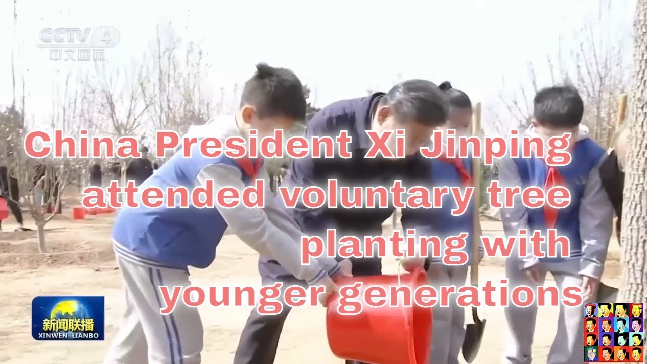 China President Xi Jinping attended voluntary tree planting with ...