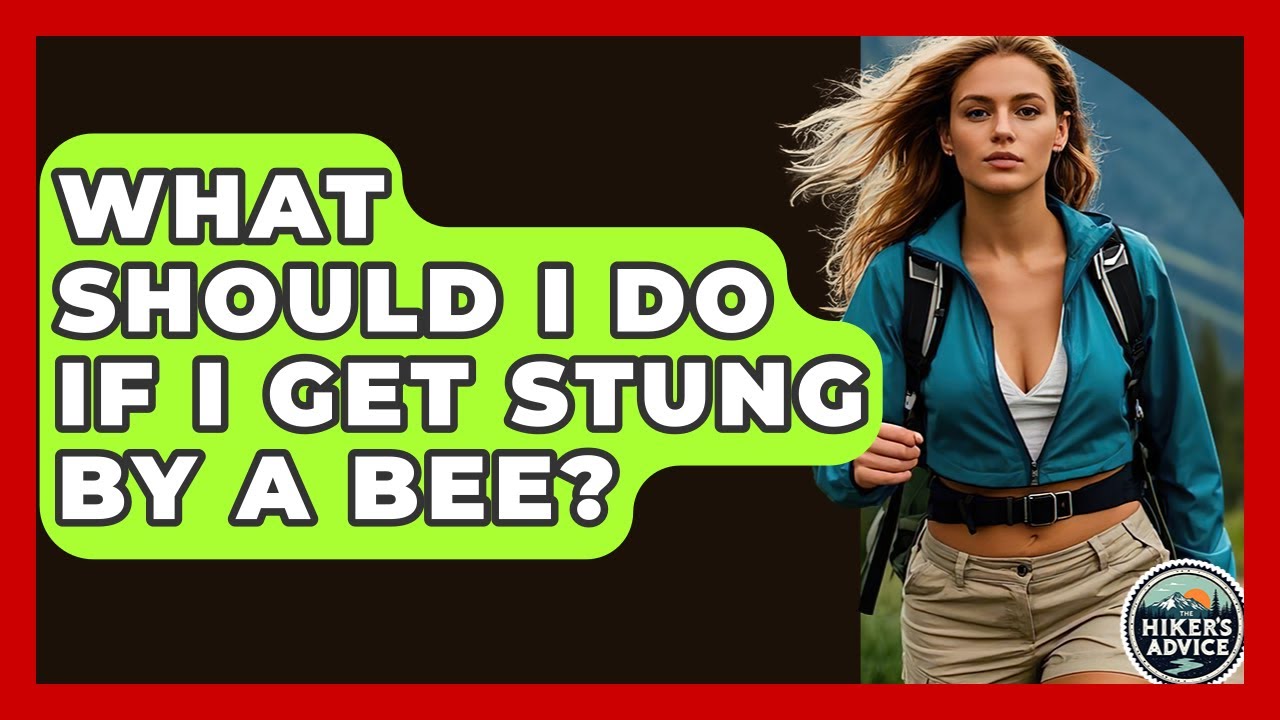 What Should I Do If I Get Stung By A Bee? - The Hiker's Advice - YouTube