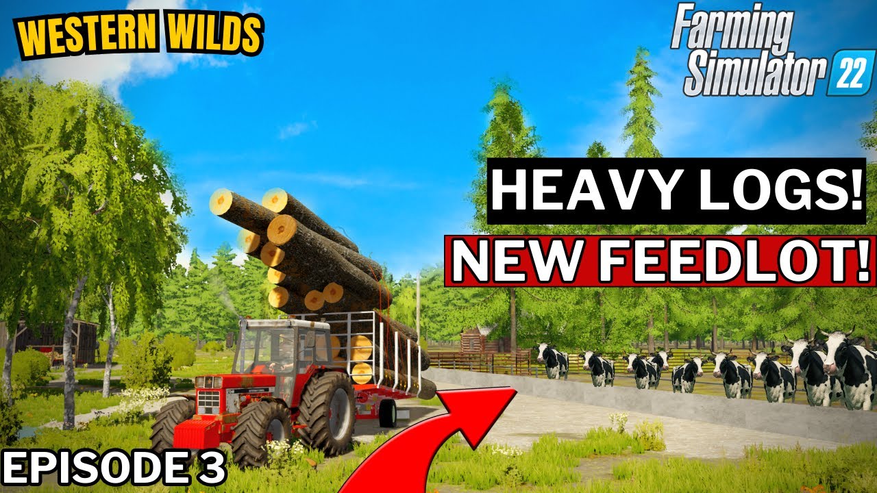 Clearing Trees To Build a New Feedlot, Building the Map Challenge ...