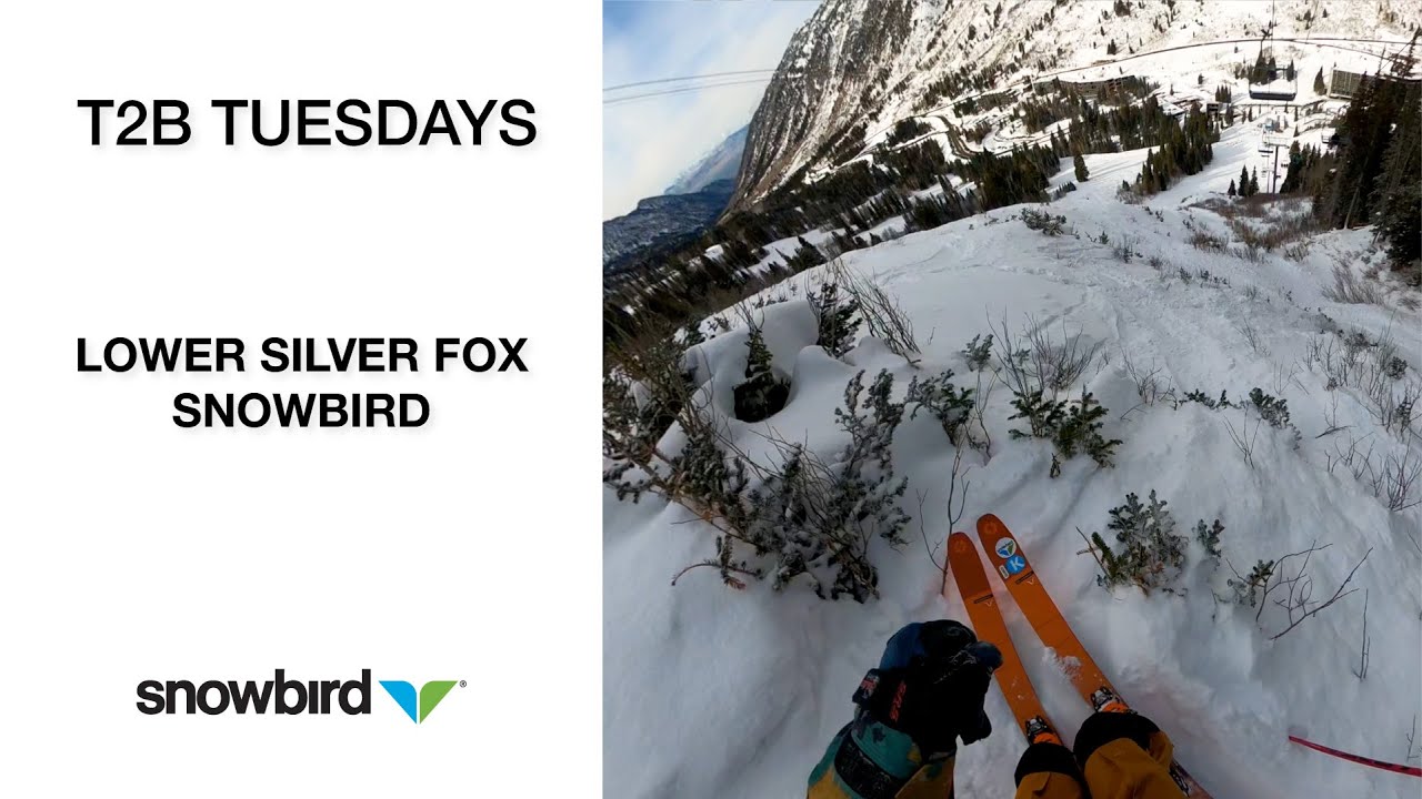 T2B Tuesdays – Lower Silver Fox | Snowbird | 2020-2021 - YouTube