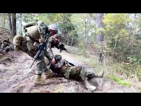 Army Casualty Collection Point: A Vital Guide for US Soldiers ...