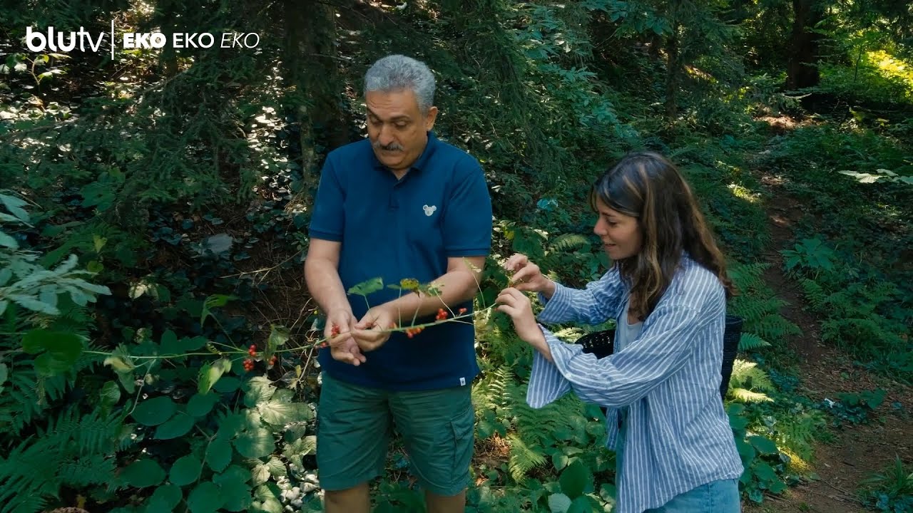 Eko Eko Eko | 2. Sezon | Sadece BluTV'de - YouTube