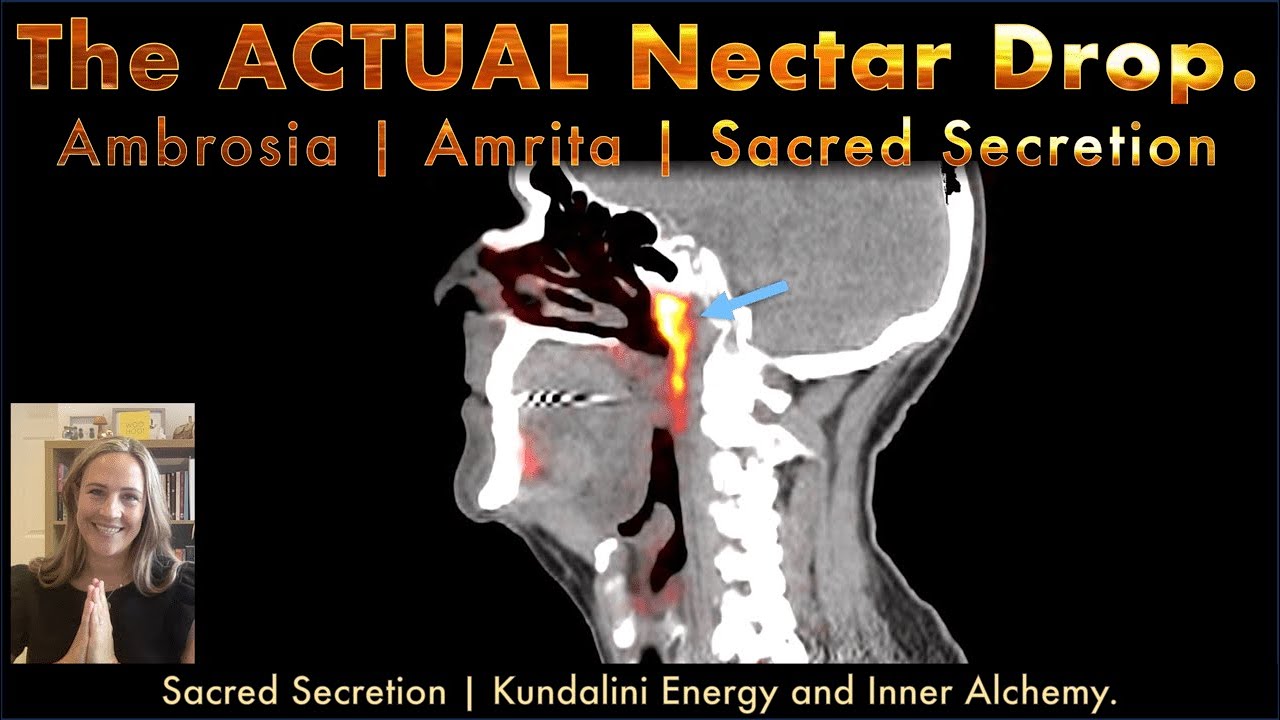 Nectar of the Gods - Ambrosia and Amrita of Immortality - Hypothalamus ...
