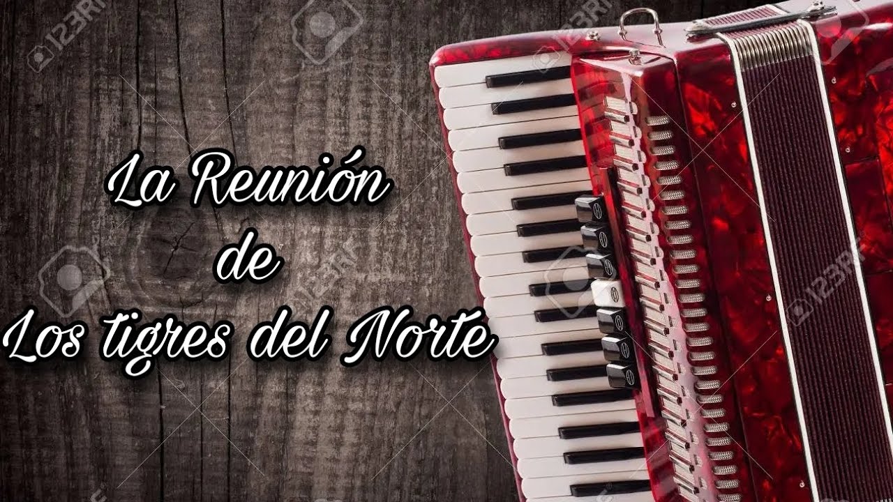 Los tigres del Norte - La Reunión(Letra) - YouTube