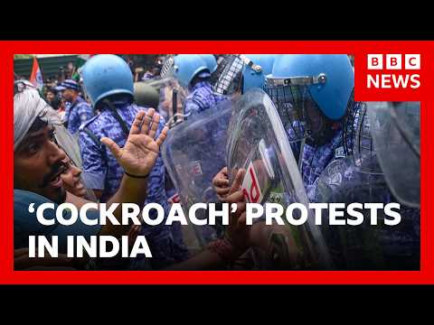 India's 'cockroach' protest continues after police crackdown | BBC News