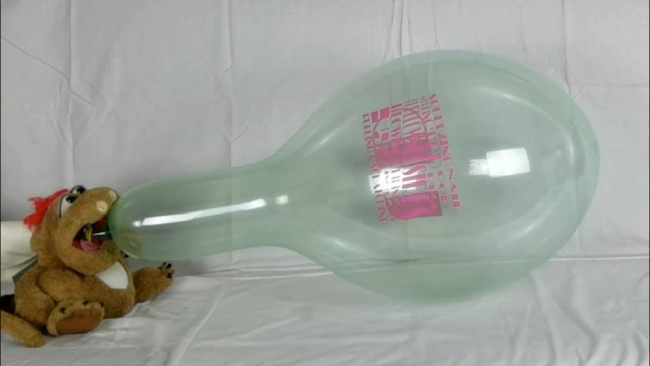 147 - blow to pop 14" balloon Belbal "Upblown Desires" - YouTube