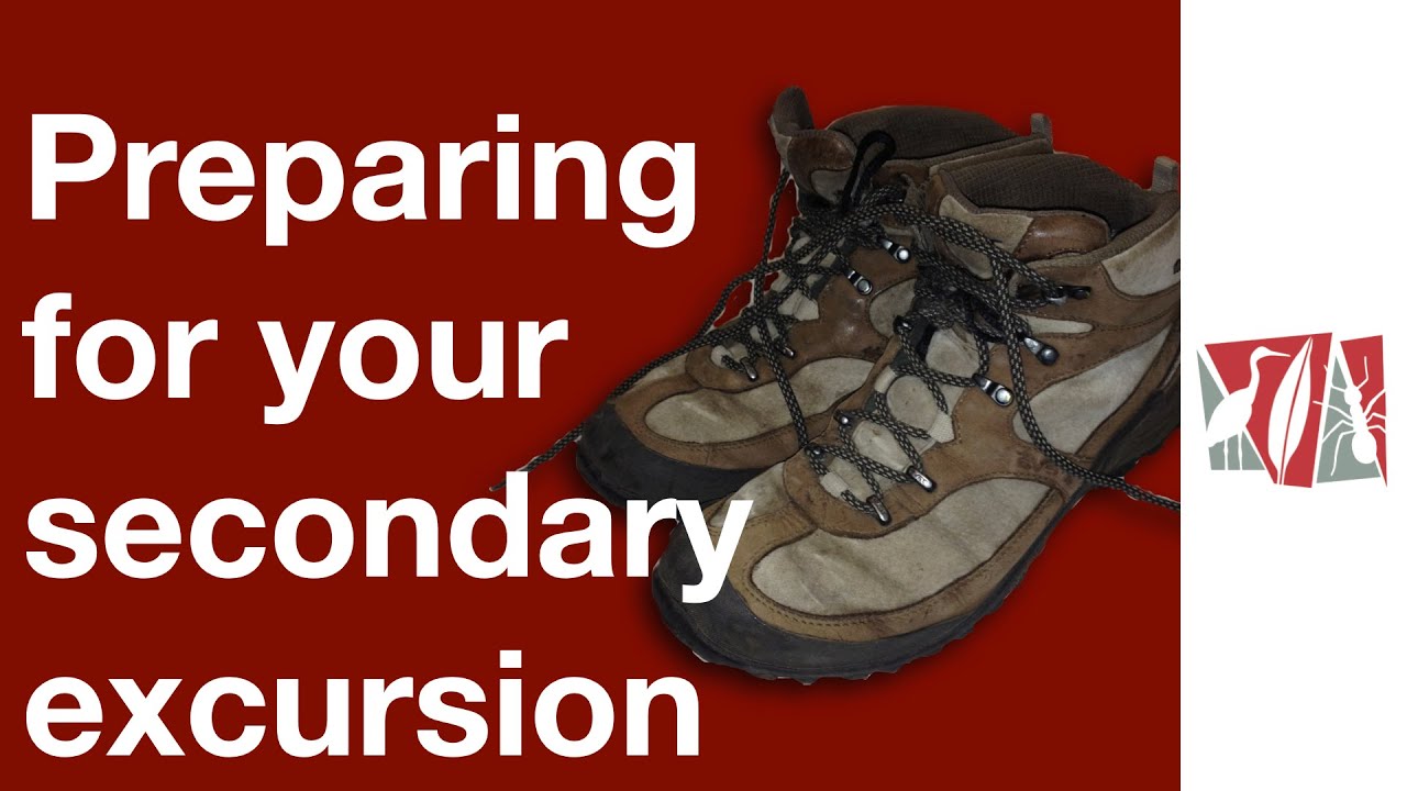 Preparing for an excursion - Secondary - YouTube