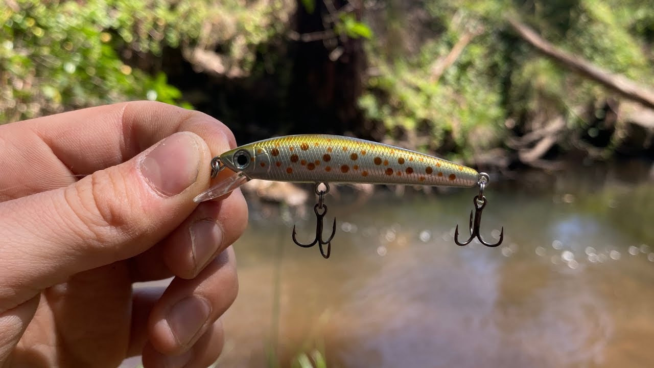 this lure catches big fish in small stream (trout fishing) - YouTube