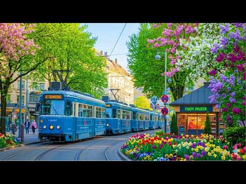🌸 Zürih’te Bahar – Çiçek Açan Renkli Şehir 🇨🇭✨ Rahatlatıcı 4K Yürüyüş 🌸