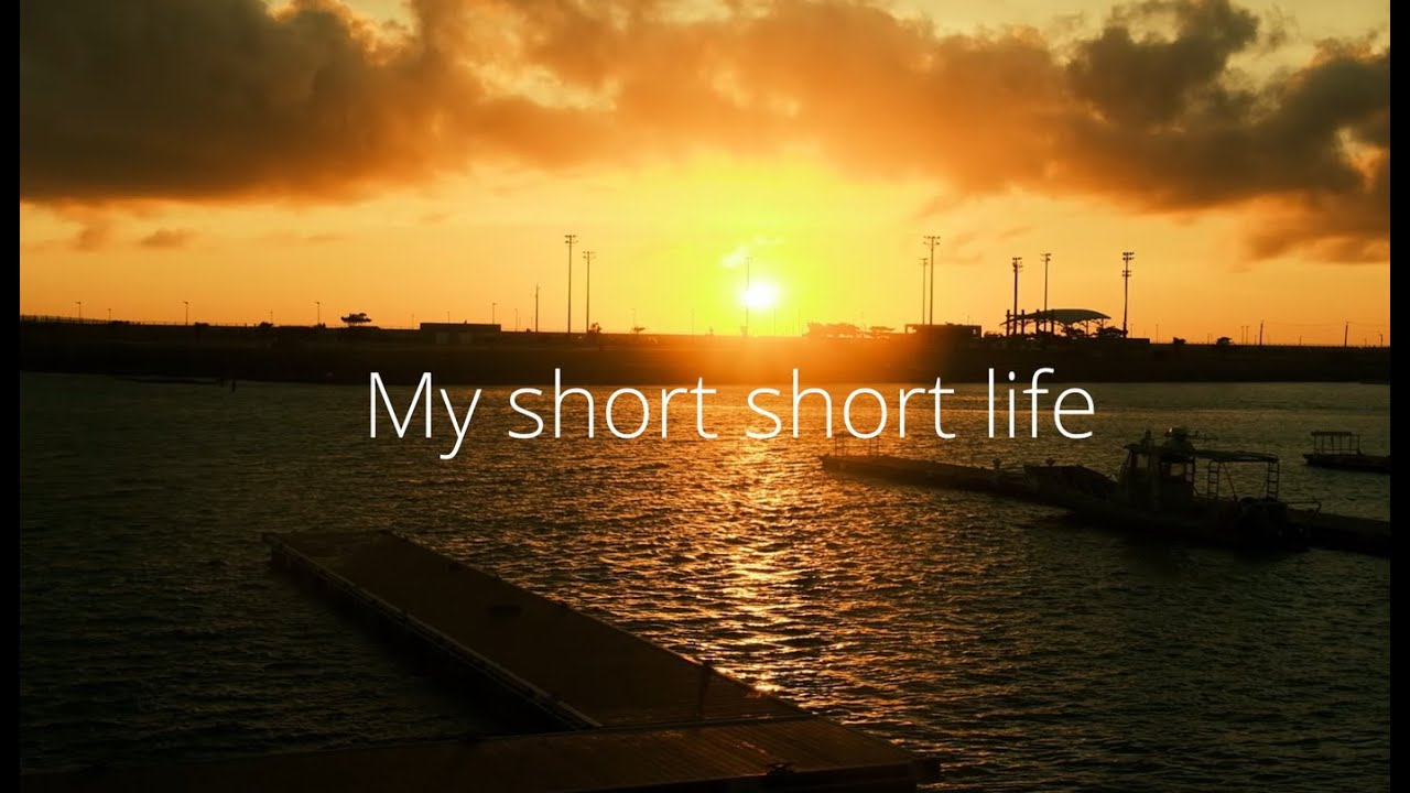 My Short Short Life 4 - YouTube