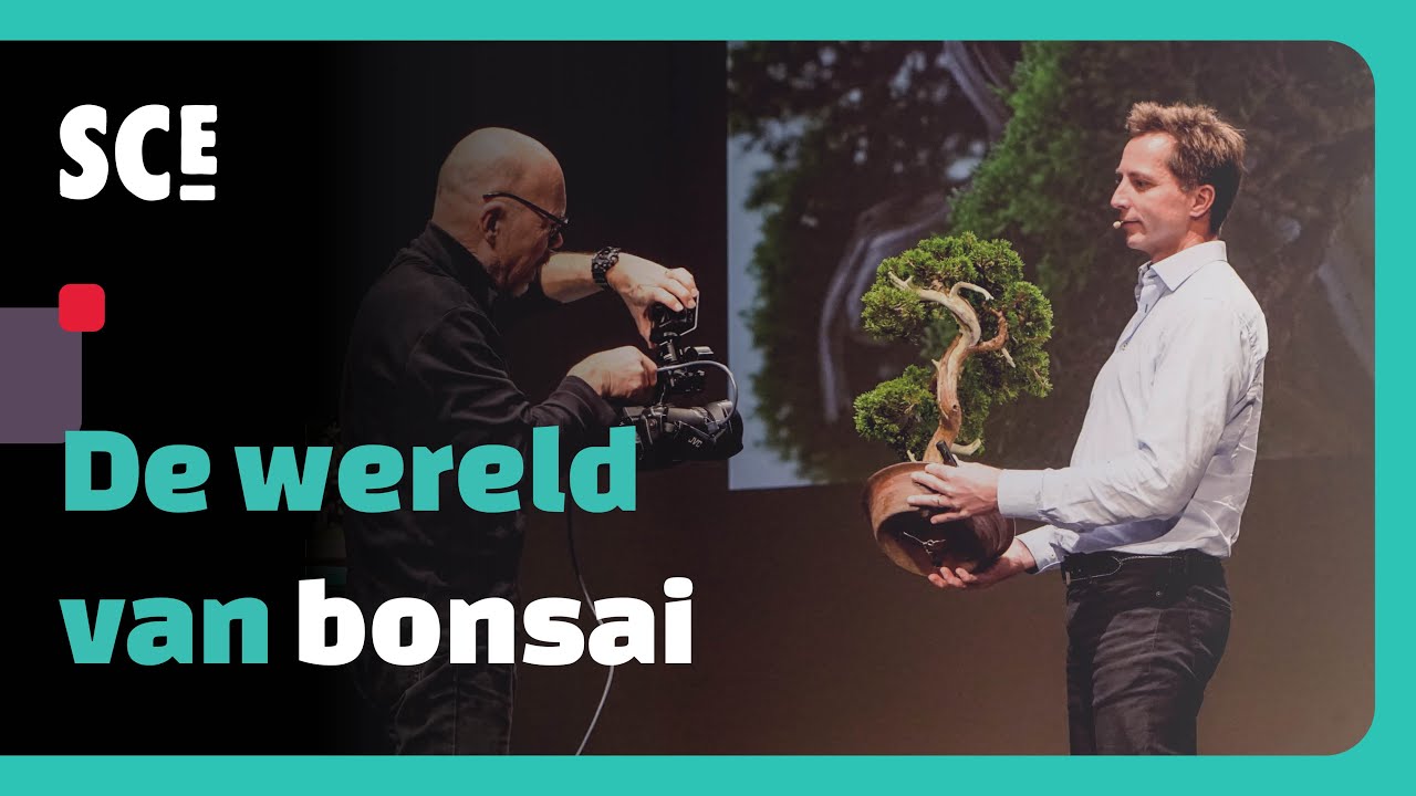 Science Café Enschede | Jelle Ferwerda - De wereld van bonsai - YouTube