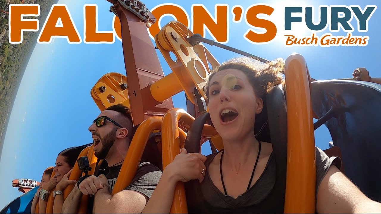 VLOG: The 'Falcon's Fury' Experience at Busch Gardens | Onride POV ...