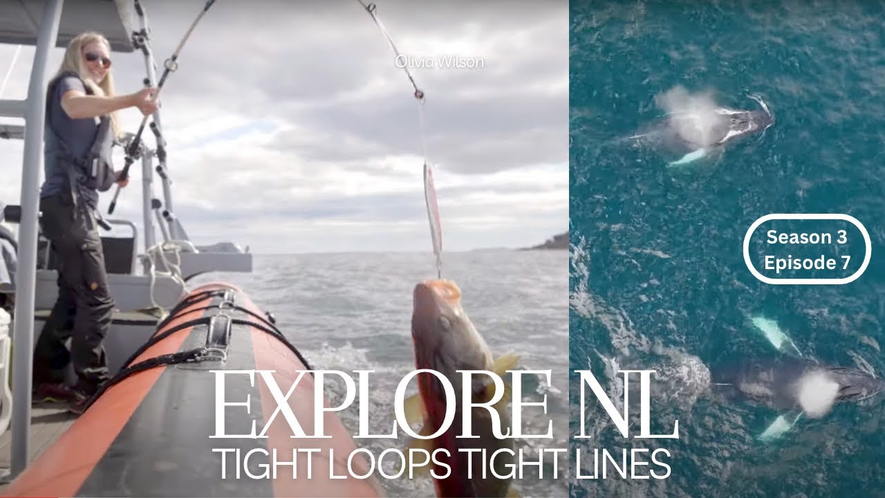 Cod fishing, snorkelling and exploring in Newfoundland! - YouTube