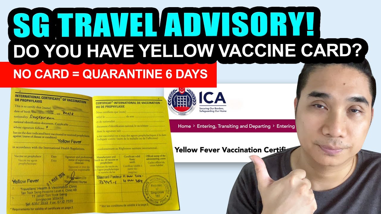 Yellow Fever Certificate Exler - Infoupdate.org