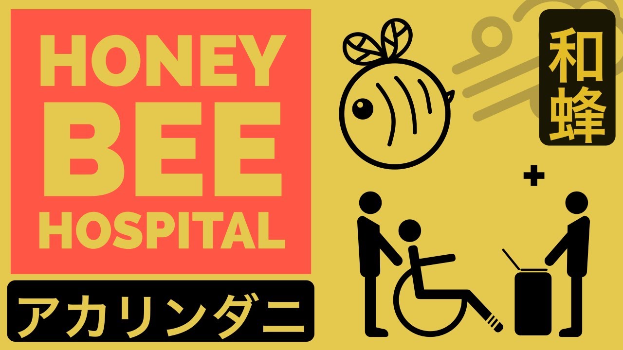 Honey Bee Hospital - YouTube
