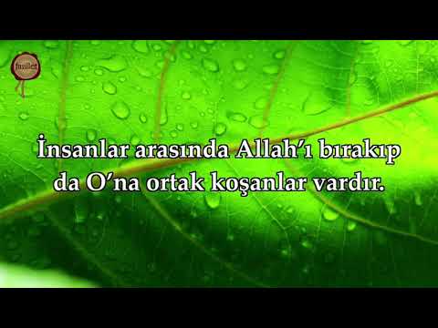 İslam Subhi- Bakara Suresi 165-168