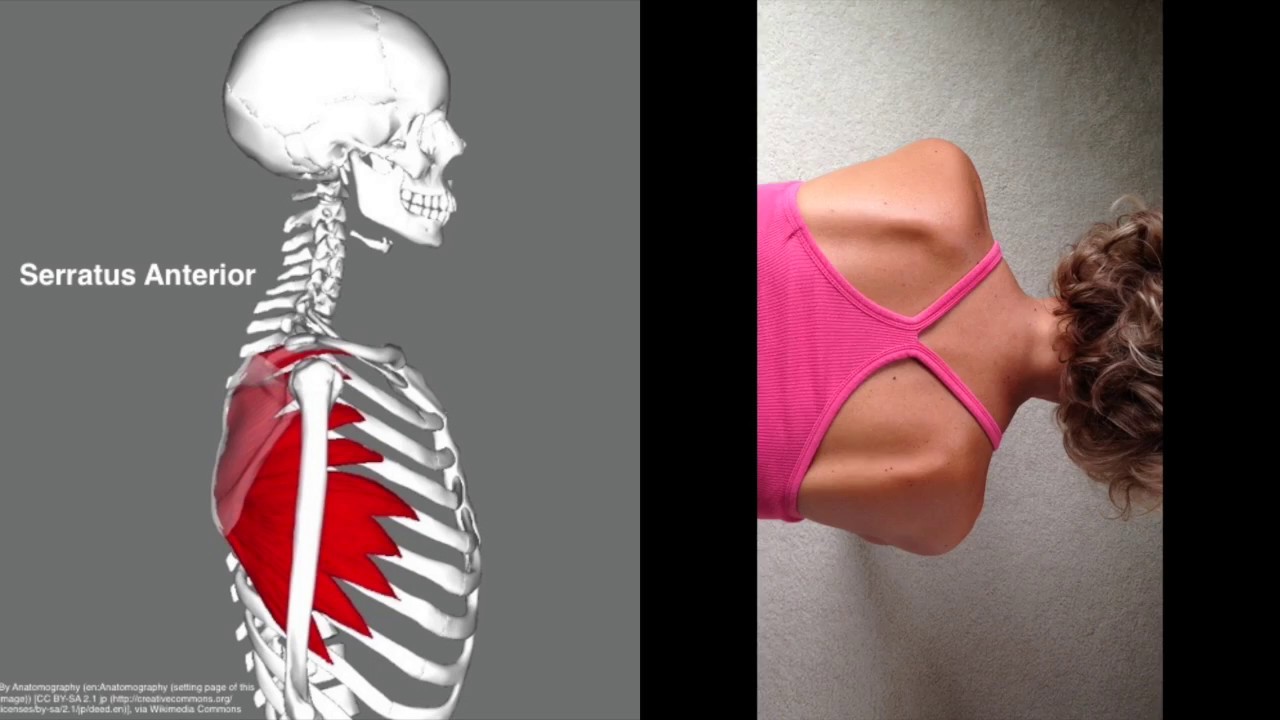 Scapular Instability: A Common Source of Neck and Shoulder Pain - YouTube
