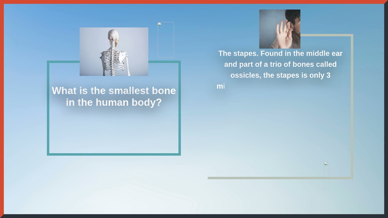 What is the smallest bone in the human body? - YouTube