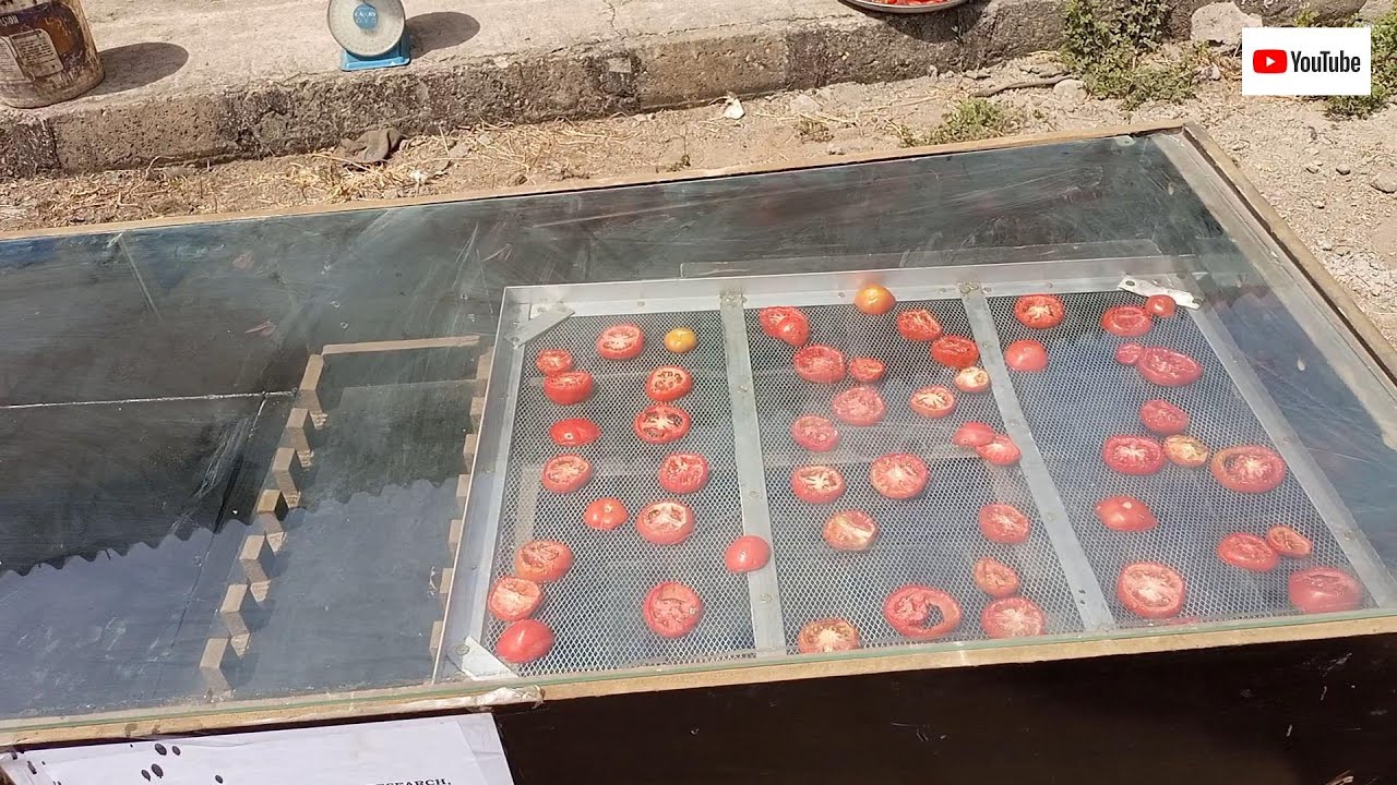 TOMATOES SOLAR DRYER - YouTube