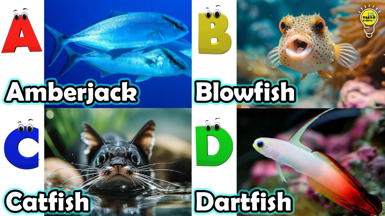 Sea animals for kids | ABC phonics animals | ABC Sea Animals song ...
