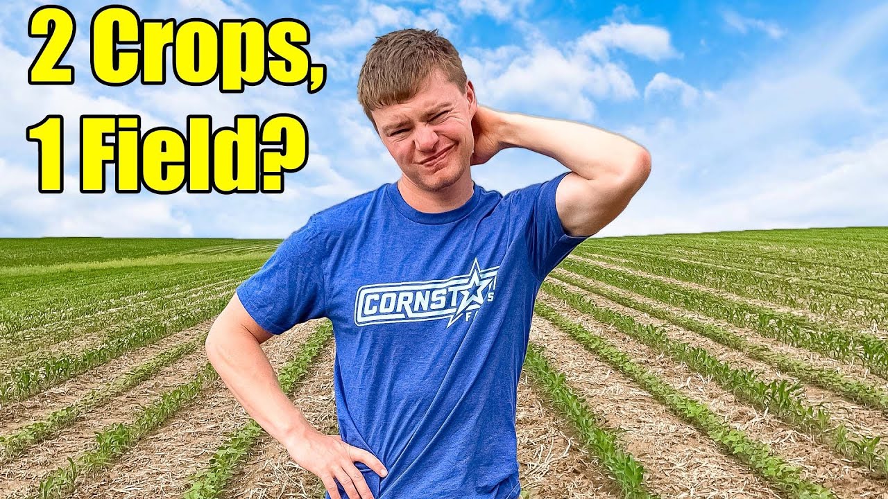 Trying A Completely New Way Of Farming (Bad Idea?) - YouTube