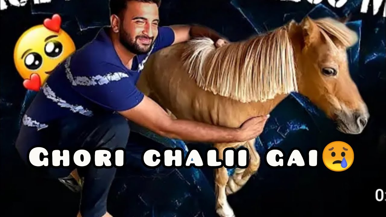 Ghori chalii gai 😢||sher main dehat||Edit video||Hadi Editz - YouTube