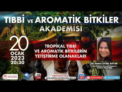 Tıbbi ve Aromatik Bitkiler Akademisi-4 Tropikal Tıbbi ve Aromatik Bitkilerin Yetiştirme Olanakları