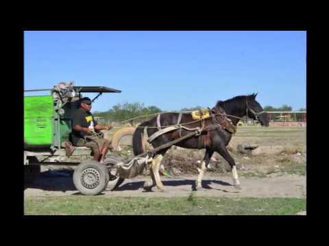 cart team 2017 - YouTube