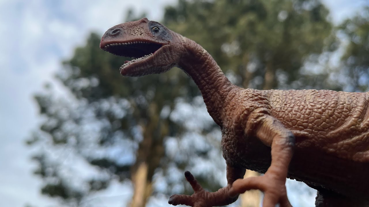 CollectA Deluxe Neovenator unboxing and review. - YouTube