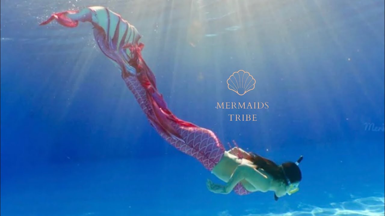 Mermaid cosplay mermaid swimming in the pool mermaid tail mermaid ...