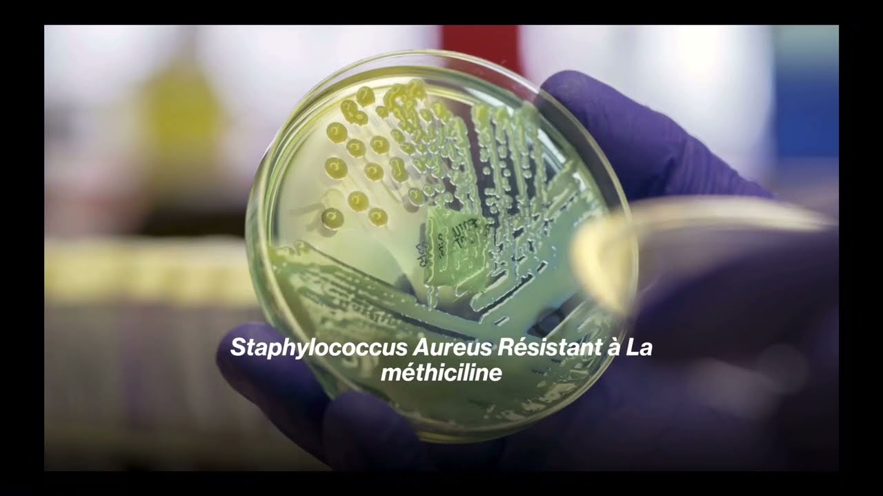 Les Antibiotiques et l’antibiorésistance de Staphylococcus Aureus - YouTube