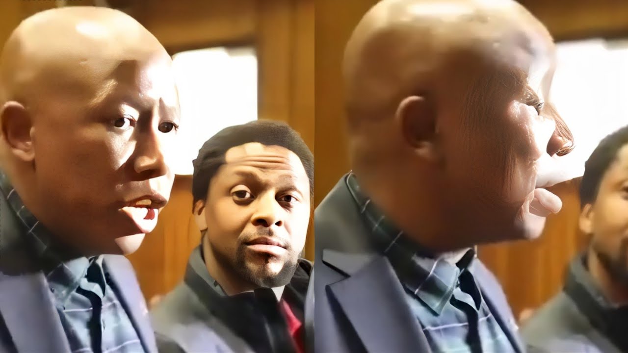 Twitter streets can be very rough Video Meme | Julius Malema - YouTube