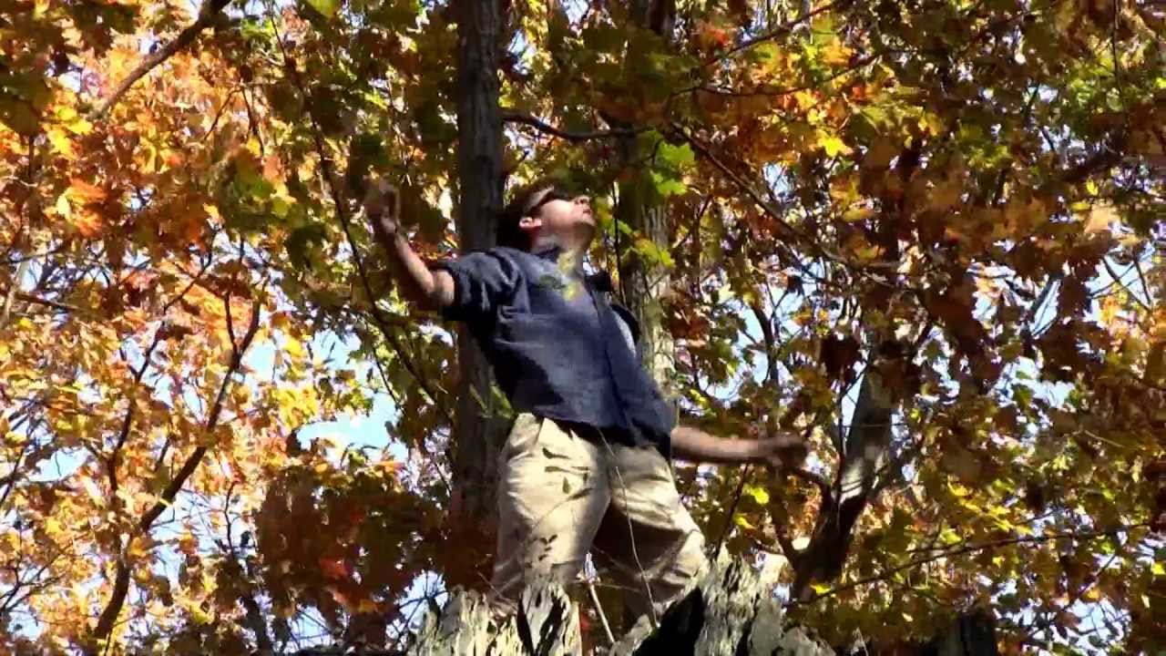 Man vs Wild Intro - YouTube