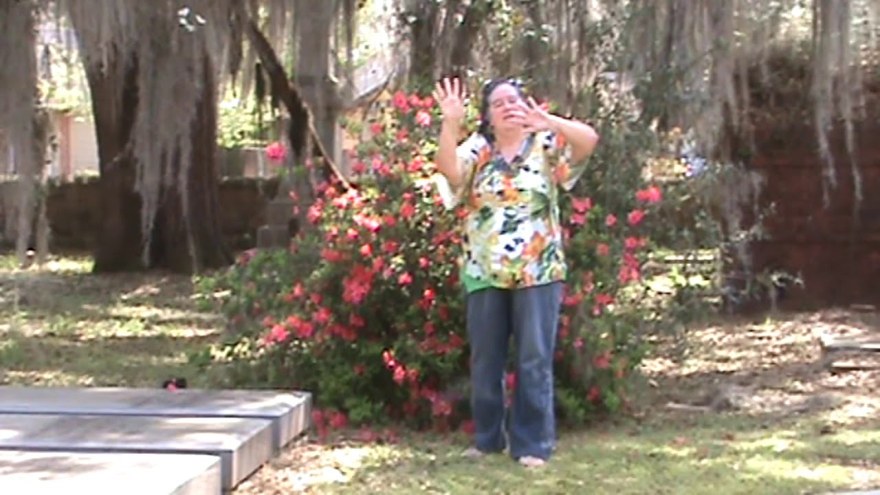 Morning Has Broken = Kathy Goodwin with the voice of Cat Stevens - YouTube