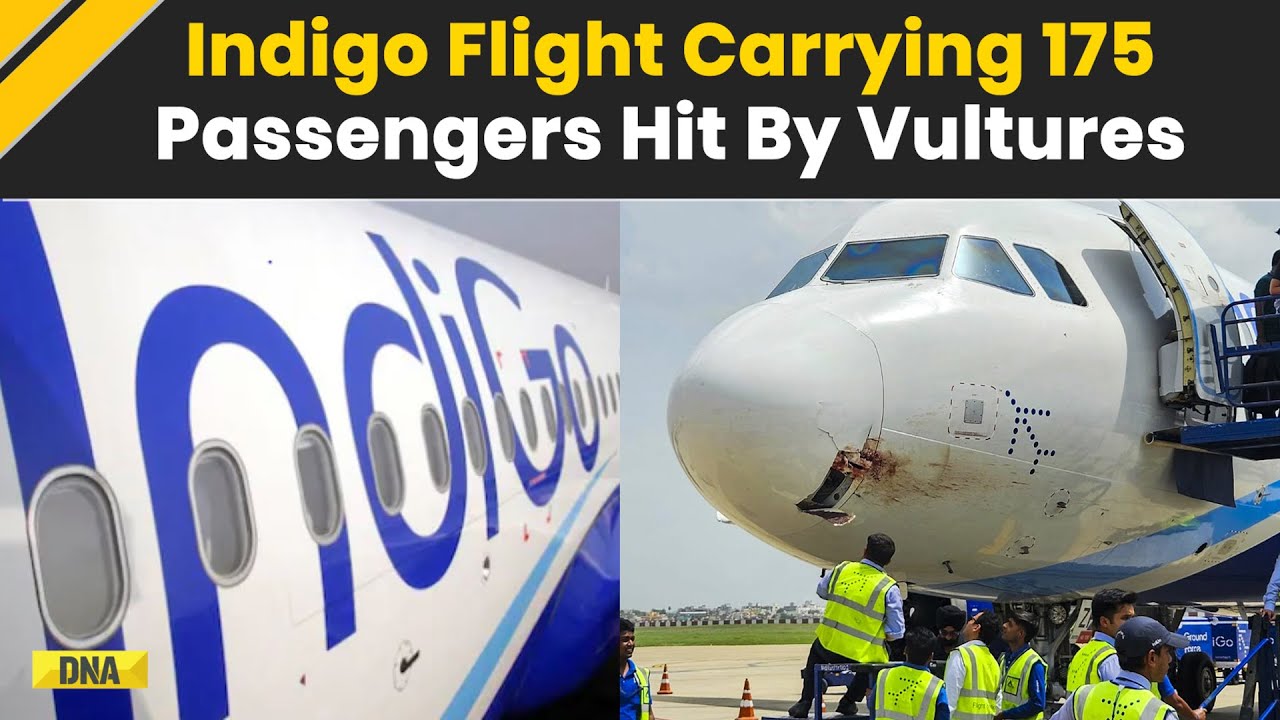 Indigo Flight News: Indigo Flight Carrying 175 Passengers Hit By ...
