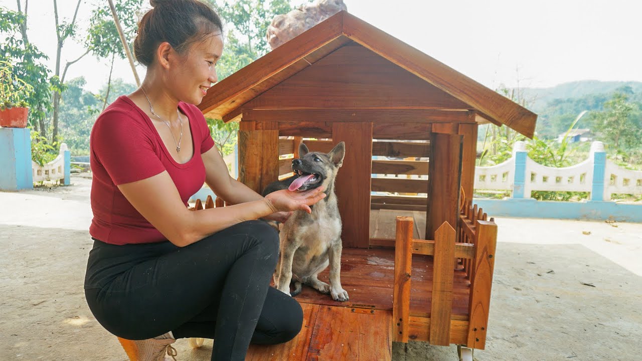 Building A Beautiful Wooden House For Dog, Woodworking Skills, Farm ...